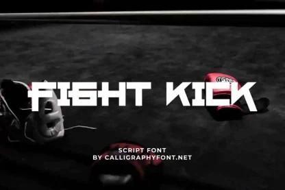 Fight Kick Display Font by CalligraphyFonts.net