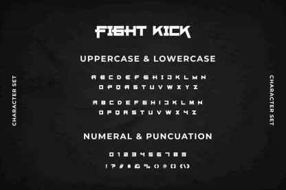 Fight Kick Display Font by CalligraphyFonts.net