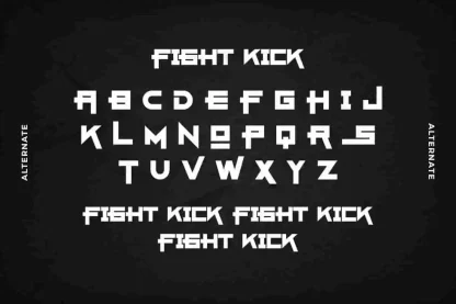 Fight Kick Display Font by CalligraphyFonts.net