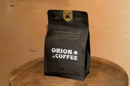 Orion Roxanne Display Font by CalligraphyFonts.net